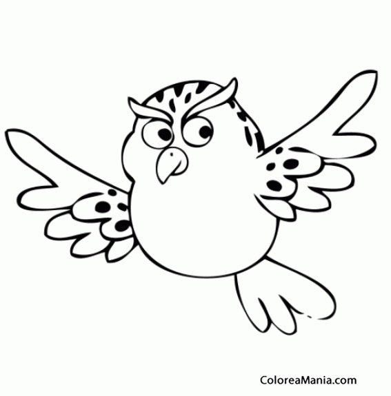 Colorear Búho volando (Aves), dibujo para colorear gratis Colorear Búho volando (Aves), dibujo para colorear gratis
